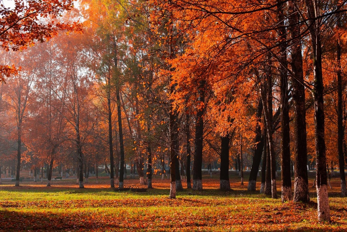 The Real Question | Michael Roberts Associates, Inc.