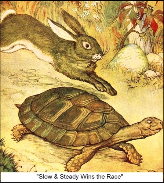 Slow and Steady Wins the Race | Stegner Investment Associates, Inc.