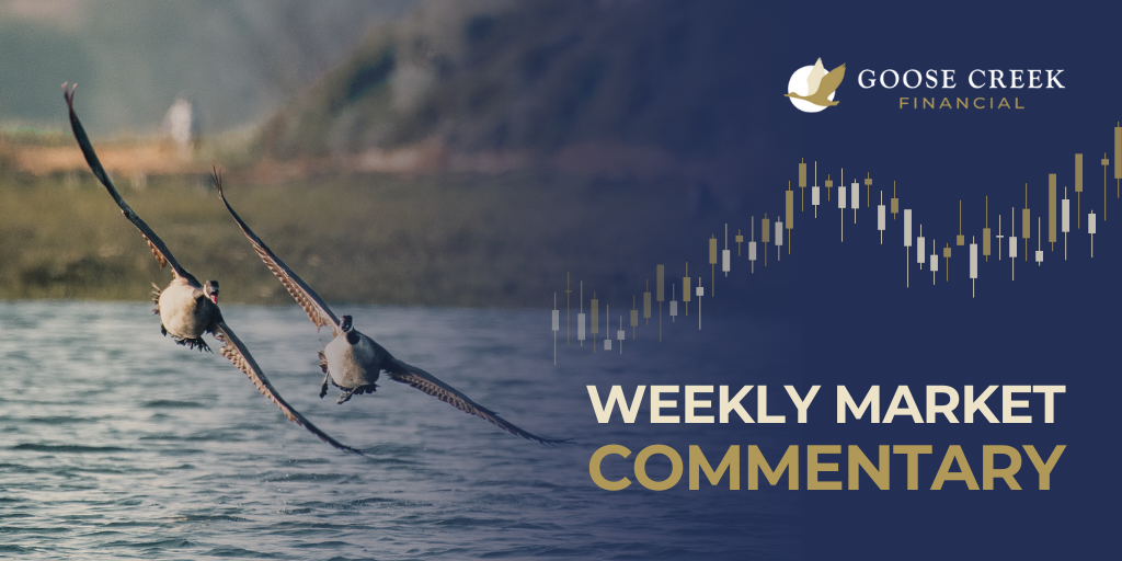 Key Pillars of the Bull and Bear Cases in 2025 | Goose Creek Financial