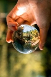 LETS ALL BE NET POSITIVE | Bonebrake Financial Planning & WealthManagement