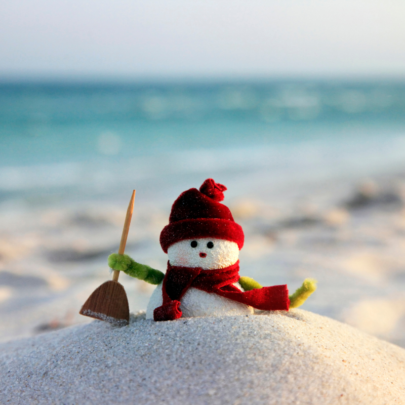 Financial Planning for Connecticut Snowbirds | Before You Fly South