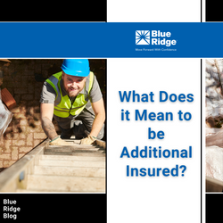 What Does it Mean to be Additional Insured? | Blue Ridge Risk Partners