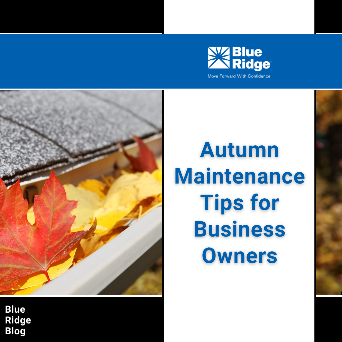 Autumn Maintenance Tips for Business Owners | Blue Ridge Risk Partners