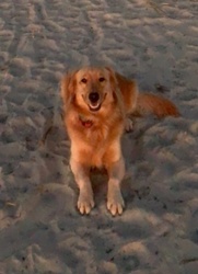 Financial Plan Insight | The Jenkins Group