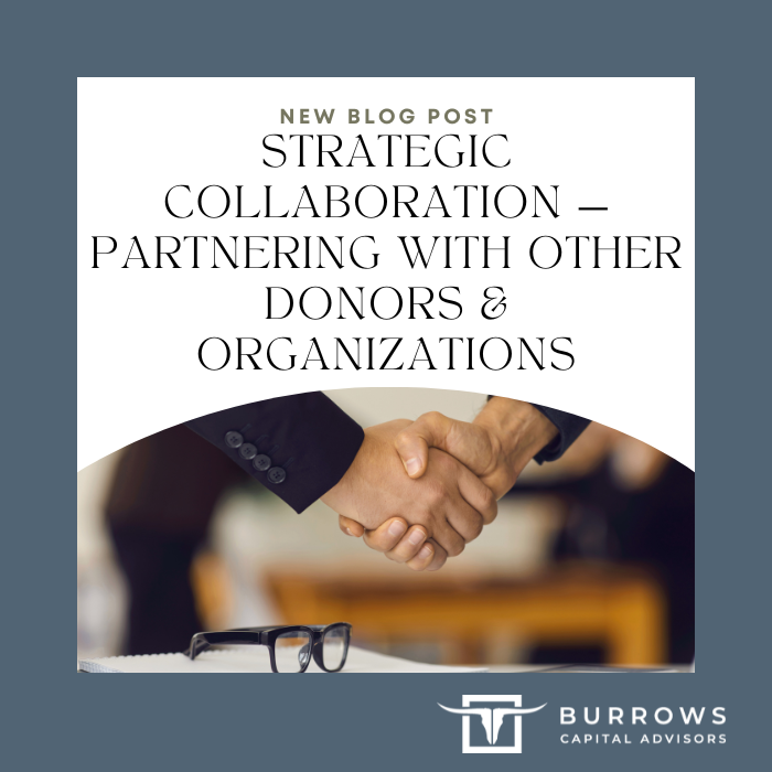 Strategic Collaboration — Partnering with Other Donors & Organizations | Burrows Capital Advisors