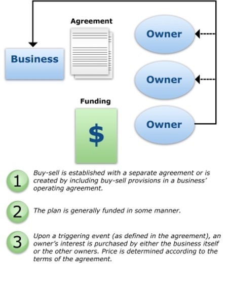 Business Succession Planning | The Fortune & Williamson Team at Barnum ...