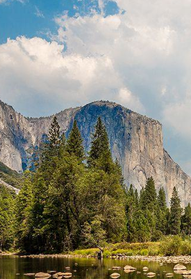 BRS Financial Group, LLC - Home