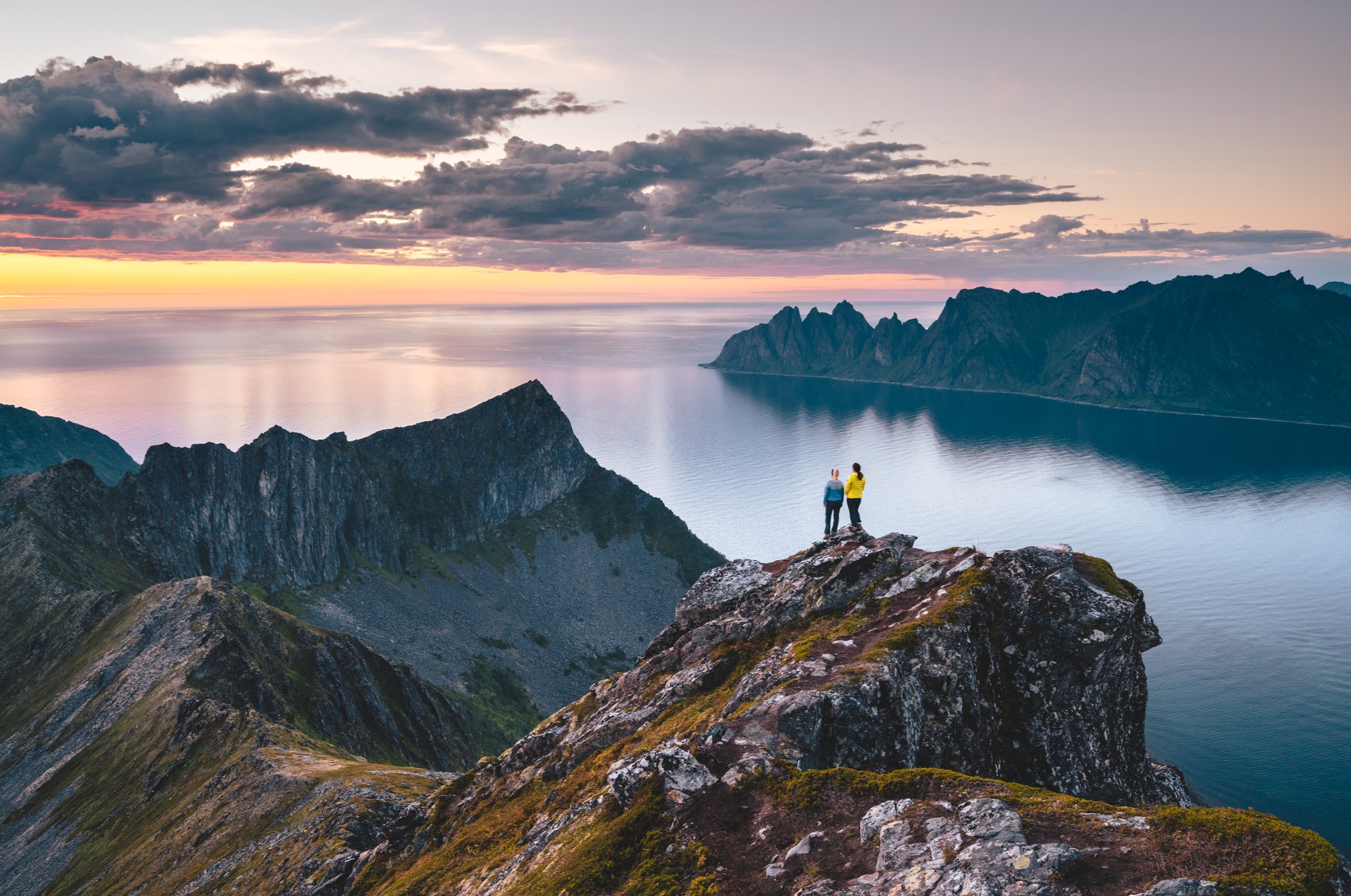 Decisive Wealth Management - Home