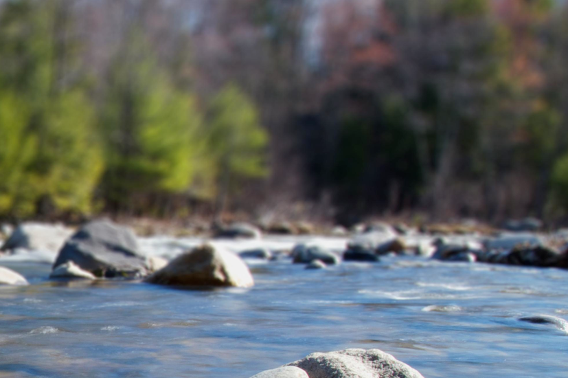 Milestone Financial Associates, LLC - Home