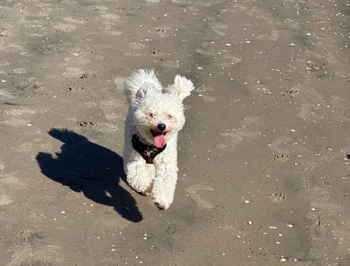 Home | Emily M. Dugas