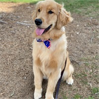 Our Wealth Management Team