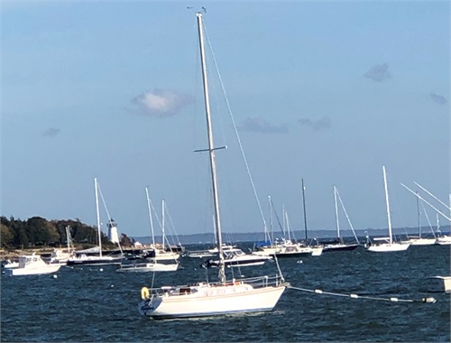 Home | Jennifer Shepley