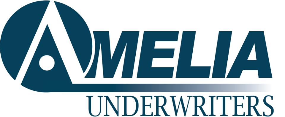 Companies We Represent