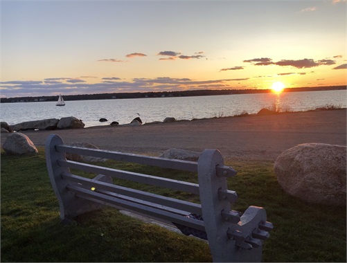 Home | Jennifer Shepley